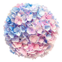 Hydrangea Flower Wall Decal Sticker | Offer of the day