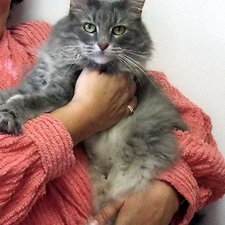 SofterSilk | eBay Stores