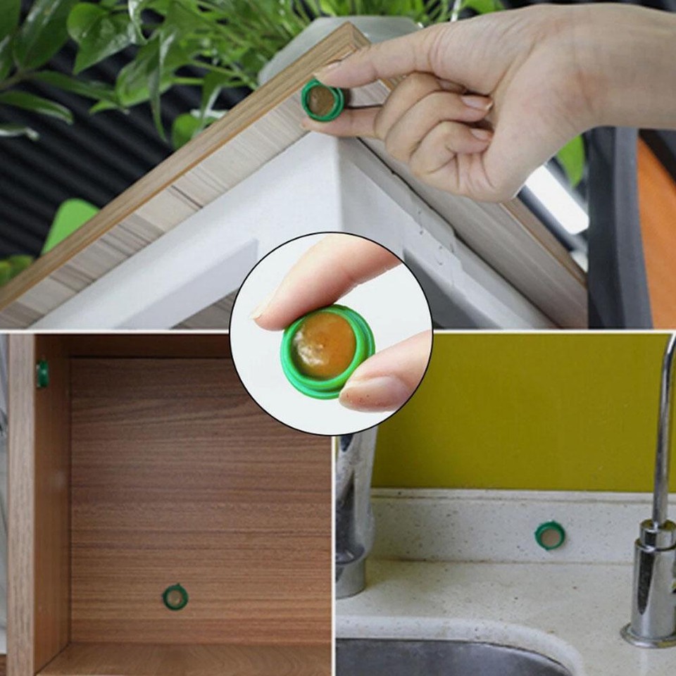 Stations For Small & Large Roaches Natural Cockroach Repellent Roach ...