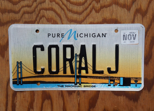2017 Michigan Vanity License Plate - CORAL J | eBay