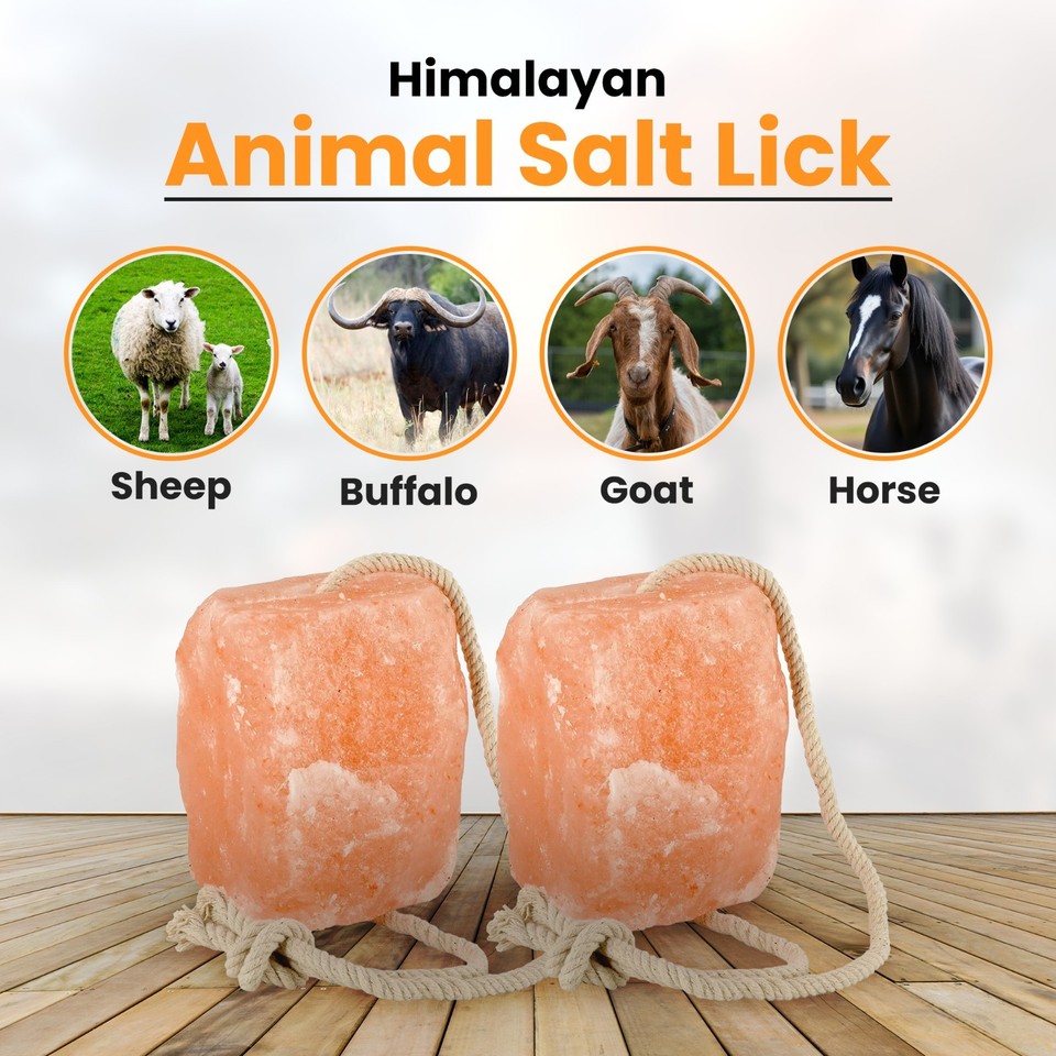 SALT LICK, Himalayan Salt Lick Block 5-6 lb with Rope For Horses Deers ...