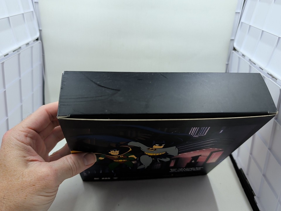 Batman & Robin Bendable Figures Figurines DC Collectable 14cm Animated ...