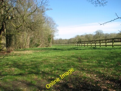 Photo 6x4 Paddock by Joe's Plantation Bunwell Bottom c2014 | eBay UK
