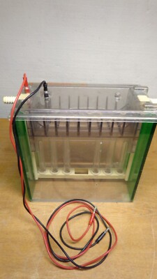 Bio-Rad Protean Dual Vertical Slab Gel Electrophoresis Cell Hoefer ...