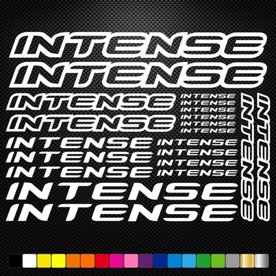 INTENSE - 21 Vinyl Decals Stickers Sheet Bike Frame Cycle Cycling ...
