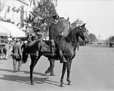 1910 DC Metro MOUNTED POLICE OFFICER 16x20 Photo Picture COP & HORSE ...