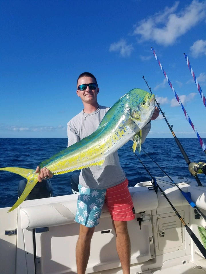 Dexter Russell 4" Square Butcher Meat Bone Dust Scraper 199S.. #09303 ...