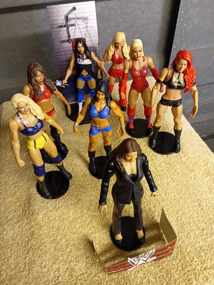 WWE Divas Collection New Out Packaging Perfect Condition (Stands Not ...