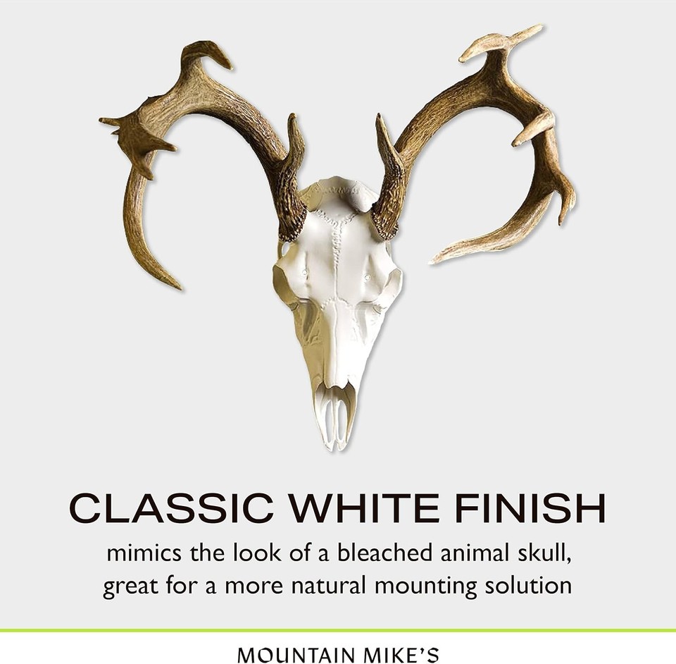 Skull Master White Deer Skull Euro Mount 3D Replica Taxidermy Antler ...