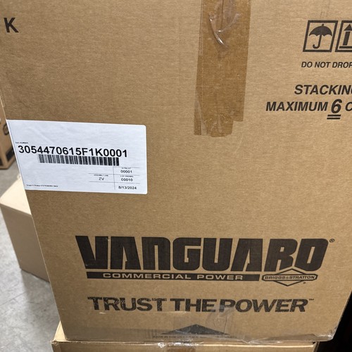 Briggs & Stratton Vanguard Engine 305447-0615-F1 Engine Assembly, Free ...