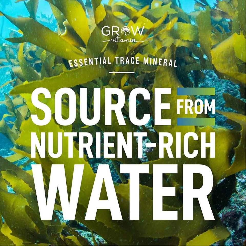 Organic Sea Kelp Enhanced Iodine Pure Healthy Thyroid Support Natural 90 Caps | eBay