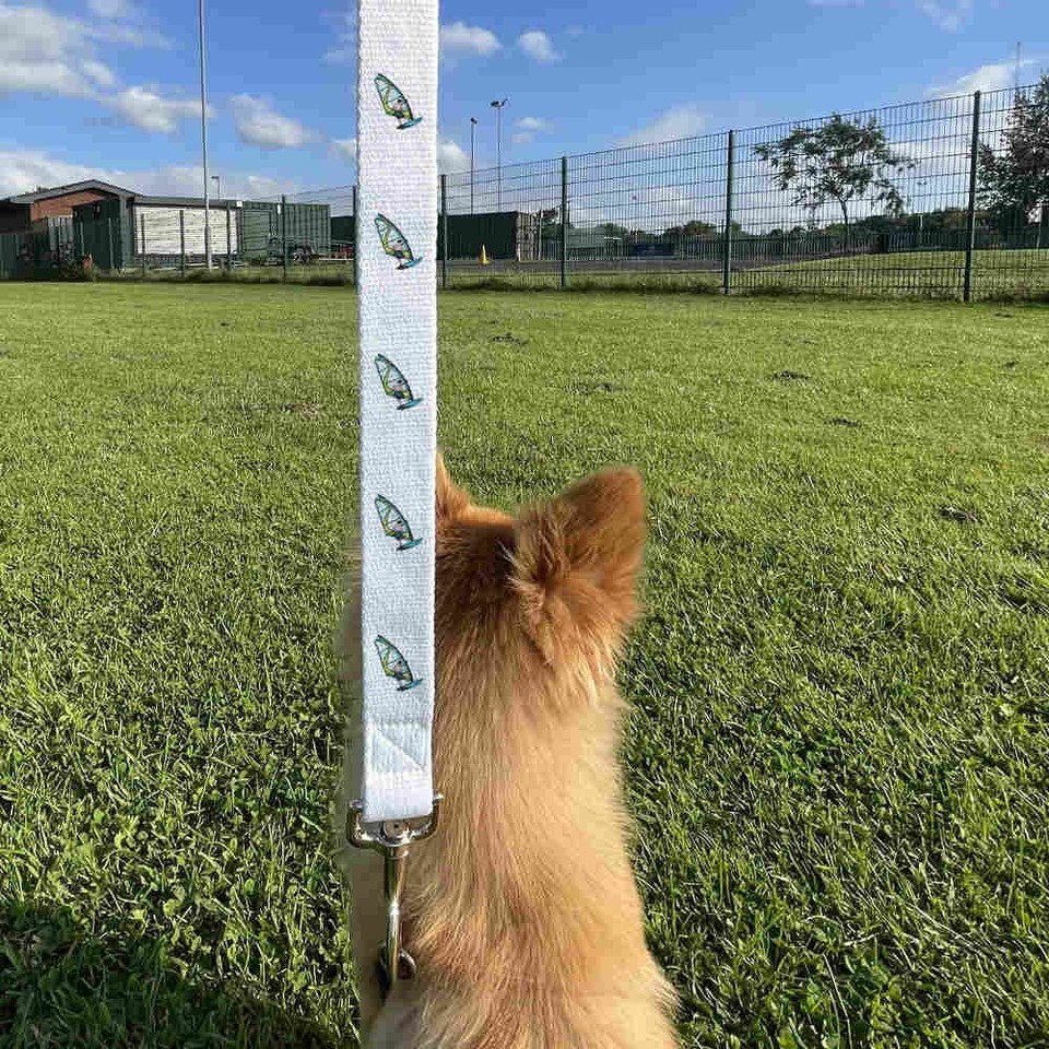 'Windsurfer' Dog Lead / Leash (DL00008697) | eBay