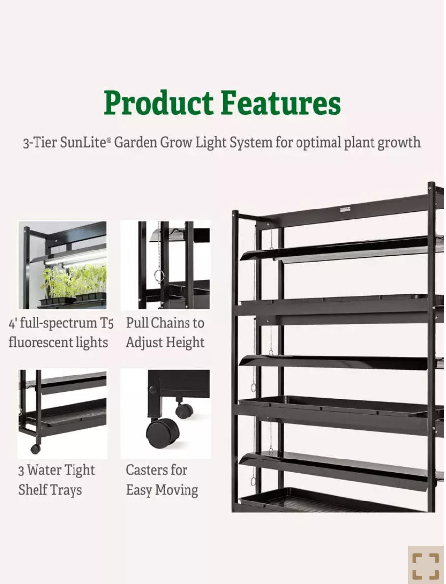 Sunlite Garden Lights | Fasci Garden