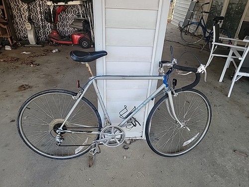 Vintage Raleigh Record Road Bike, Silver, 10 speed, Large frame, | eBay
