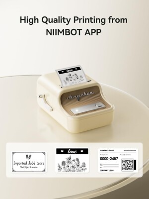 NIIMBOT B21 Label Maker, Thermal Label Printer, Portable Inkless Label ...