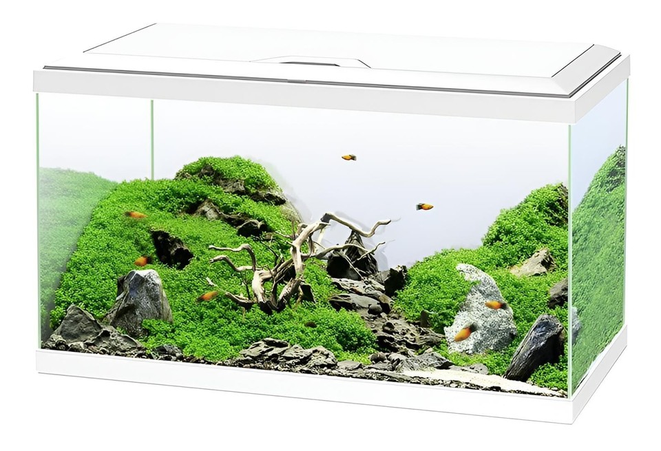 Aquarium White Fish Tank 60 cm, 58 Litre, Led Light, Filter, Heater ...