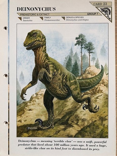 Wildlife-Fact-File-Extinct Animals-Wild Animals-School-Nature-From 1 to ...