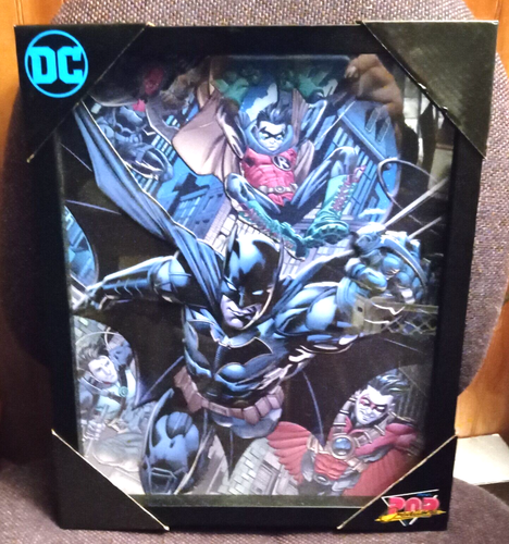DC Pop Creations Batman & Robin Framed 3D Wall Decor | eBay