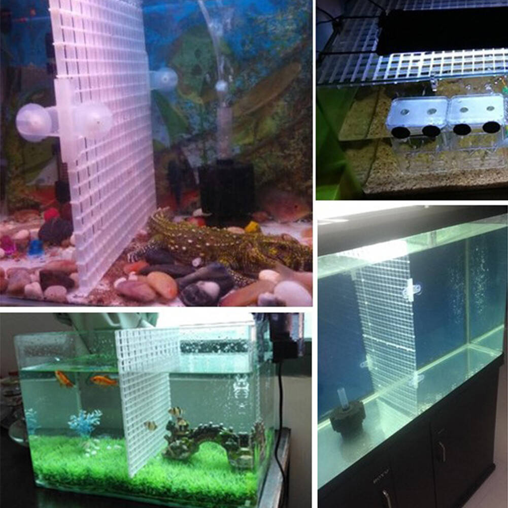 Grid Durable Aquarium Professional Home Accessories Isolate Board | eBay