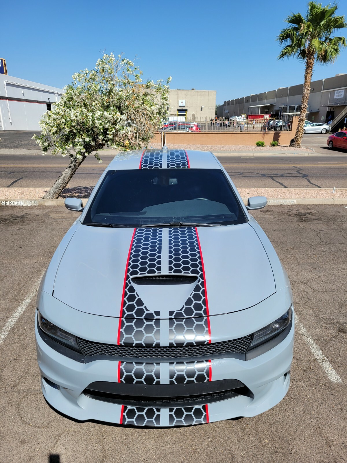 Dual Honeycomb Stripe Kit Vinyl Decal Fits Dodge Charger SRT Hellcat ...