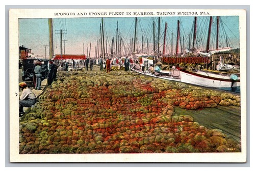 Tarpon Springs FL Sponges and Sponge Fleet in Harbor White Border ...