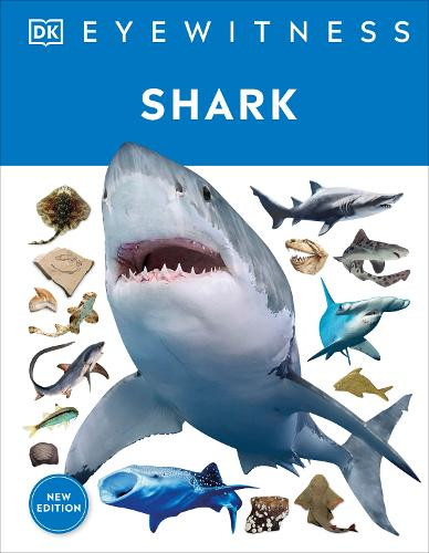 Eyewitness Shark (Hardback) DK Eyewitness (UK IMPORT) 9780744056419 | eBay