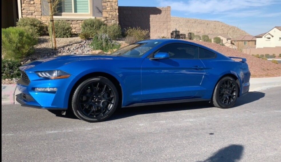 OEM Ford Mustang Ecoboost Wheels (Black) (used) (full Set Of 4) | eBay