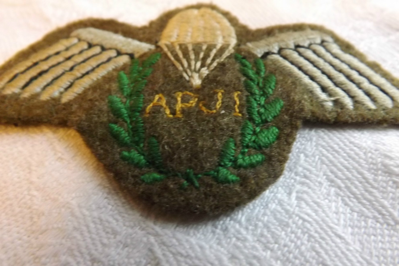 Military Assistant Parachute Jump Instructor AJPI Wings Army Cloth ...