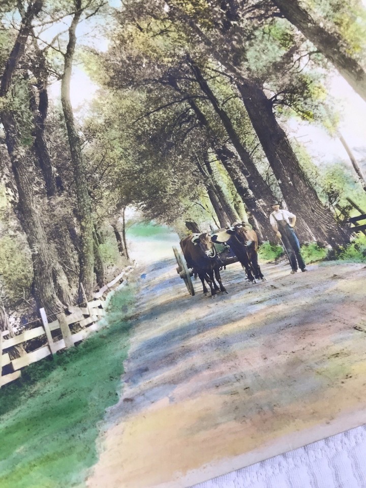 George F. Slade Color Photography Prints Early 1900’s Stamped ...