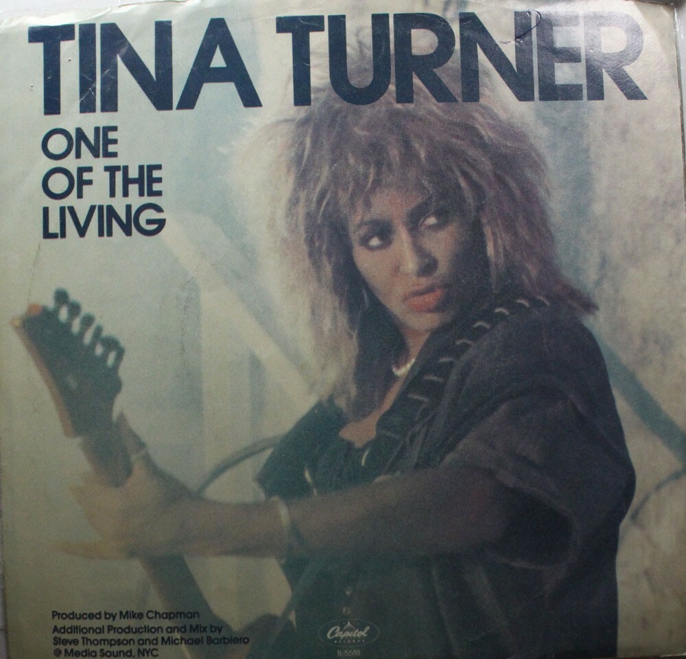 Soul Picture Sleeve Promo 45 Tina Turner - One Of The Living / One Of ...