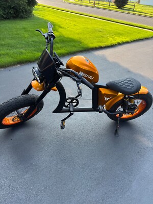BIGNIU BG-X Electric Bike Chopper | eBay