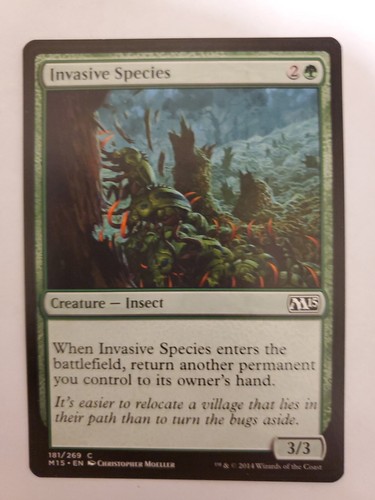 MTG Magic The Gathering Card Invasive Species Creature Insect Green M15 ...