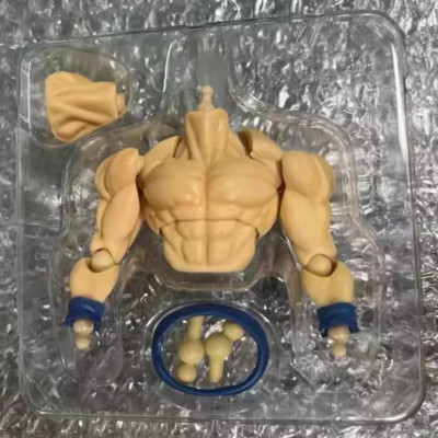 TK CUSTOM Dragon Ball SHF goku the upper body kit New In stock | eBay