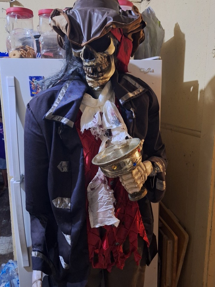Dead Eye Drake Pirate Skeleton RARE Prop Halloween 6ft, *missing Sword ...