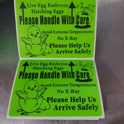 50 Large 4" x 3" Handle with care Hatching Eggs Mailing Shipping Label ...