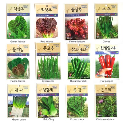 Korean Healthy Vegetable Lettuce, Sesame, Radish, Chives, Cirsium Seed ...