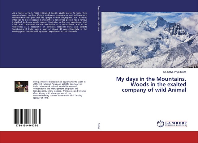 My Days in The Mountains, Woods in The Exalted Company of Wild Animal ...