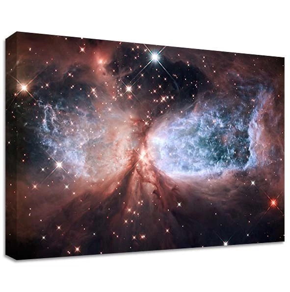 Art Star Nasa