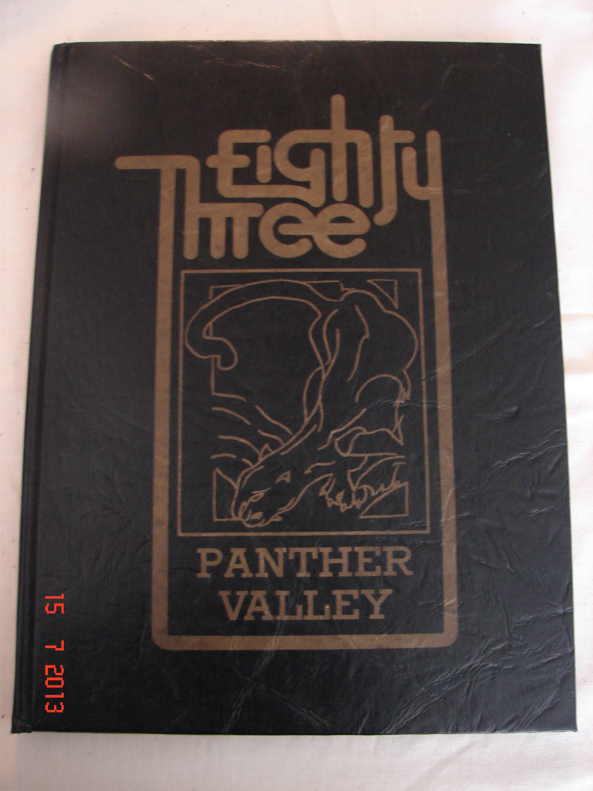 1983 PANTHER VALLEY Yearbook, Lansford, Pa Coaldale, Pa Summit Hill, Pa ...