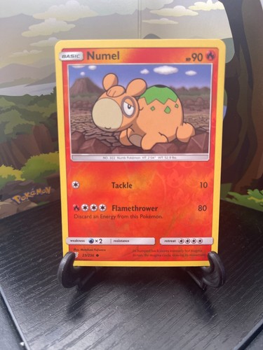 Numel 23/236 - Unified Minds - Common - Reverse Holo - Pokemon Card TCG ...