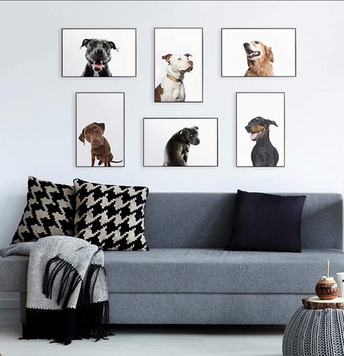 MCS INDUSTRIES Format Front Loading Picture Frames Pack Of Six -11" X ...