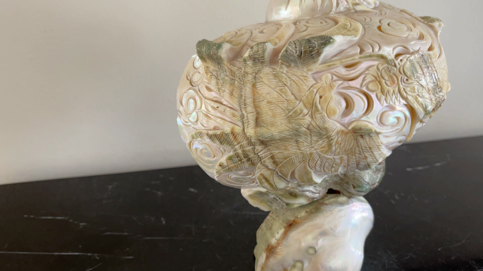 Antique Turbo Marmoratus Green Turban Carved Dragon Phoenix Sea Shell ...