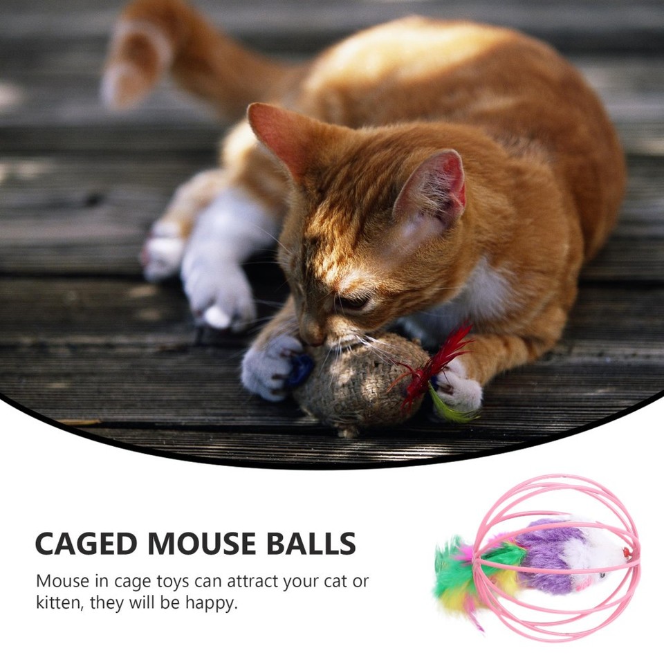 5Pcs Cat Plaything Pet Cat Toy Cage Rat Toy Mouse Ball Toy Pet Supplies ...