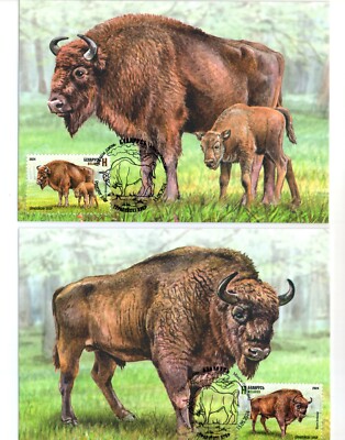 2024. European bison. Maxi Cards (FDC) | eBay