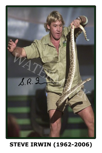 Steve Irwin signed 12x18 inch photograph poster - The Crocodile Hunter ...