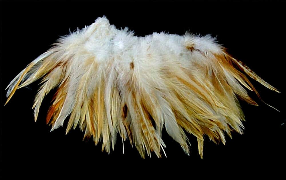 Chinese Rooster Saddle Hackle Feathers - Strung Ginger Red - 4-5" - 50 ...