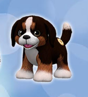 Webkinz Next Bernese Mountain Dog Code (2025) - Virtual Pet Kinz Next ...