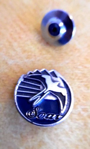 American Business Womens Association STERLING SILVER #33 "SOAR" PIN ...