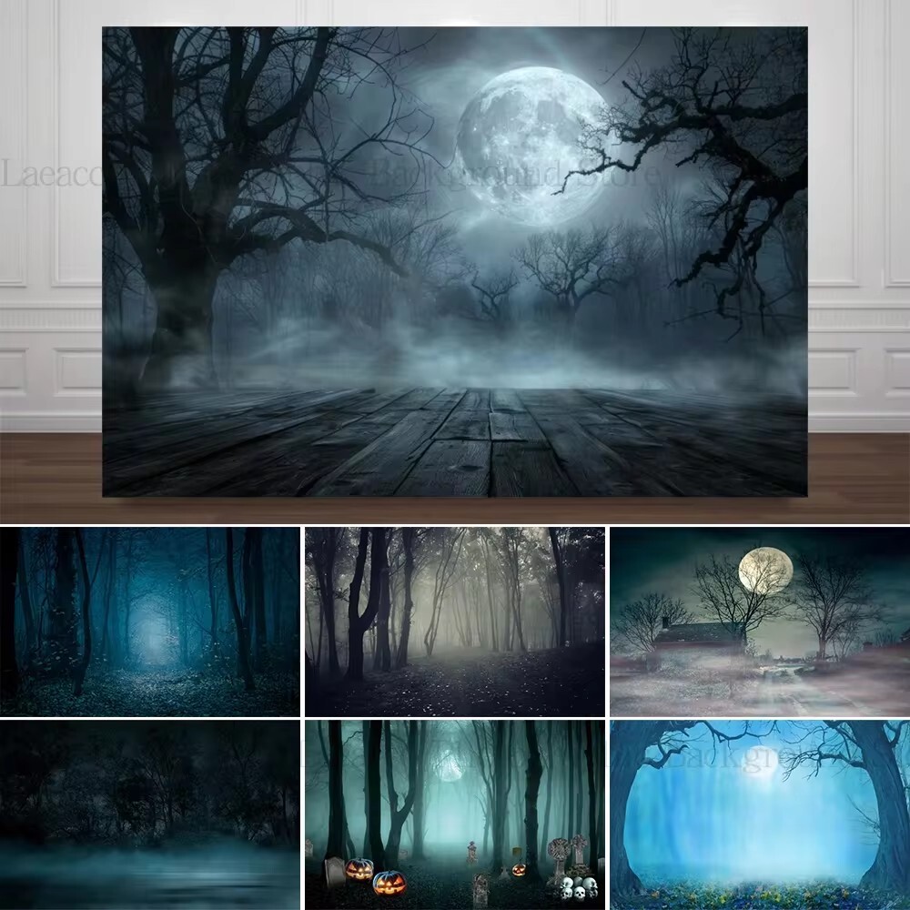 Forest Misty Dark Creepy Background