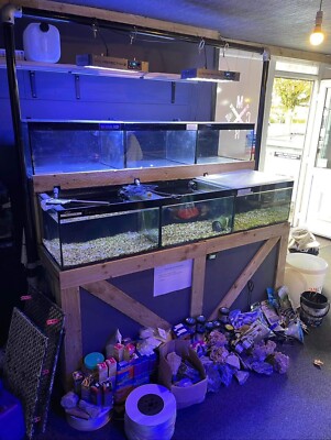 Fish Tank Racking | eBay UK